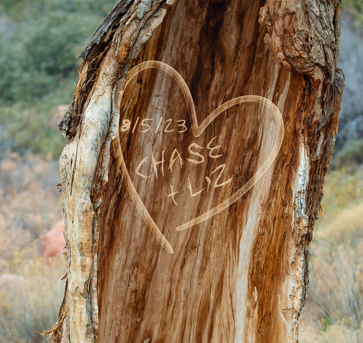 Couple Trees - Personalized Wall Art for Couples (Wedding, Anniversary)